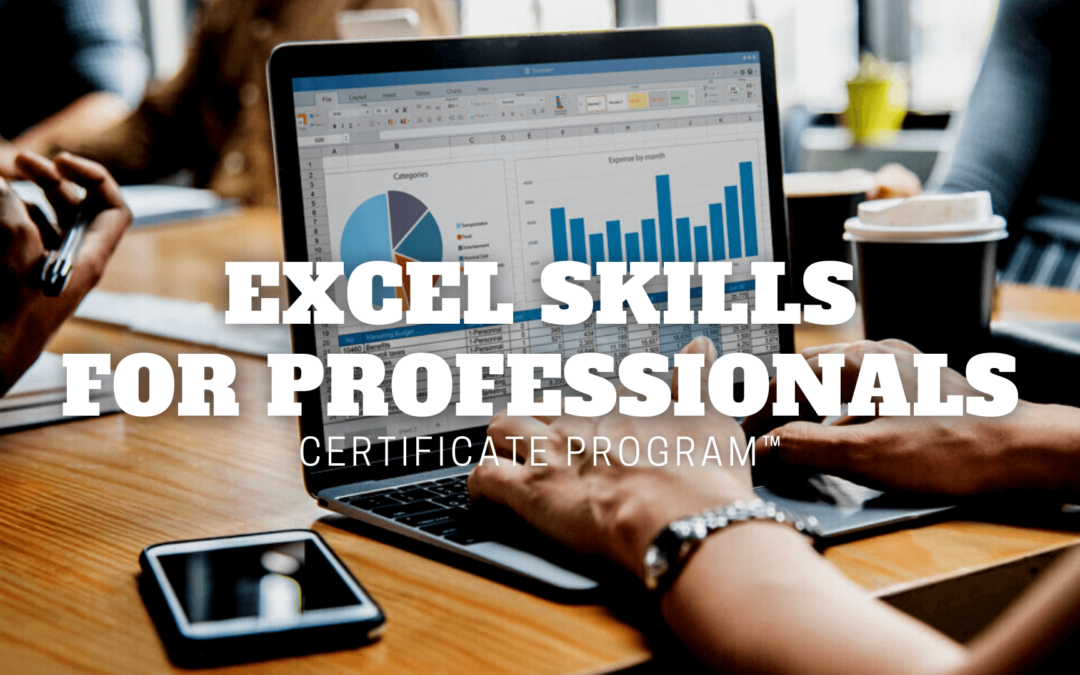 Excel Skills for Professionals - Toptalent