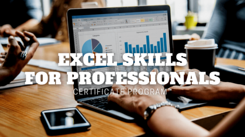 Excel Skills for Professionals - Toptalent Business School