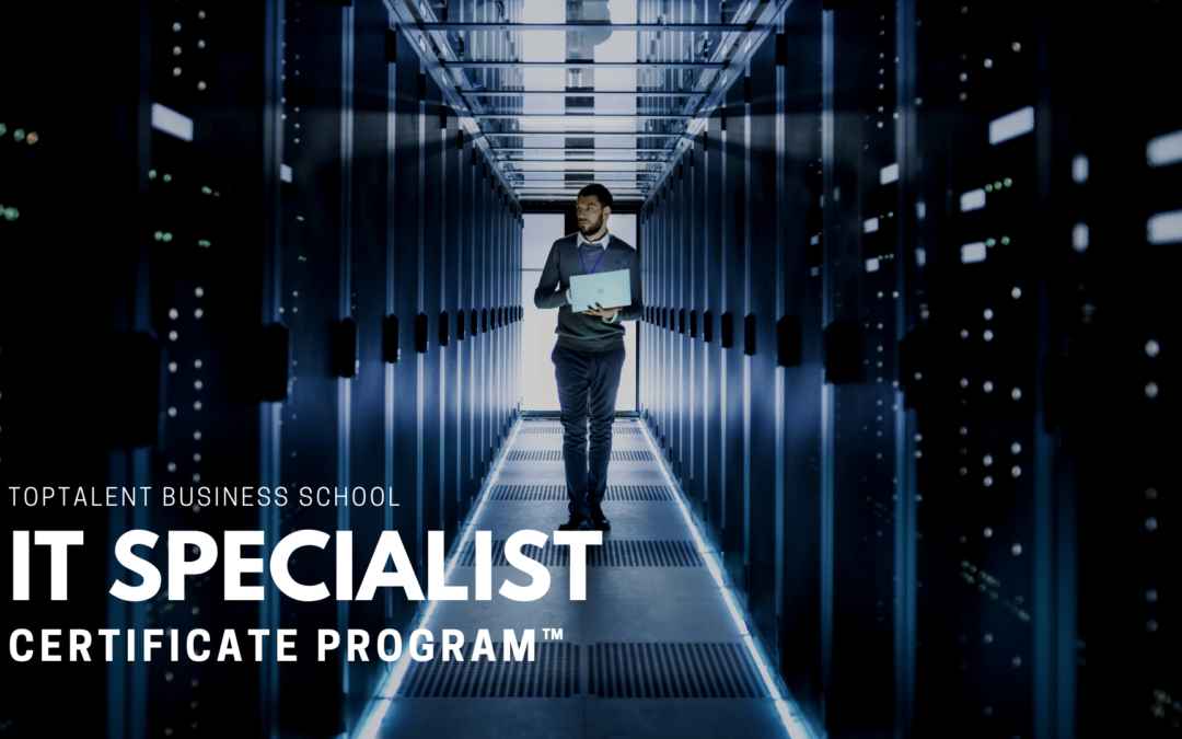 IT Specialist Program - Toptalent